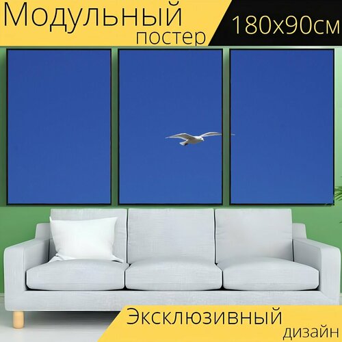 Модульный постер "Небо, синий, птица" 180 x 90 см. для интерьера