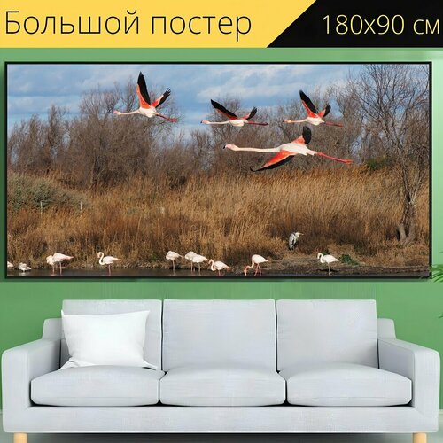 Большой постер "Птица, природа, фламинго" 180 x 90 см. для интерьера