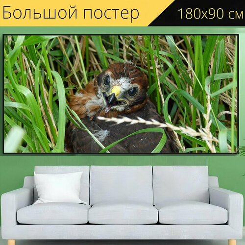 Большой постер "Луня, кувшины, молодые" 180 x 90 см. для интерьера