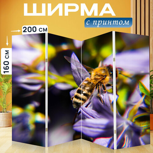 Ширма перегородка с принтом "Цветочная пыльца, цвести, насекомое" на холсте - 200x160 см. для зонирования, раскладная
