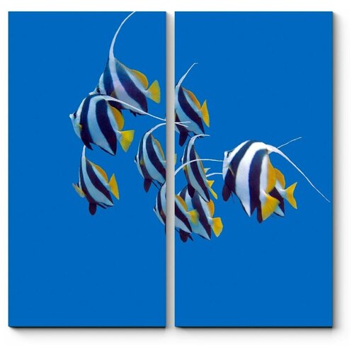 Модульная картина Тропические рыбы 50x50