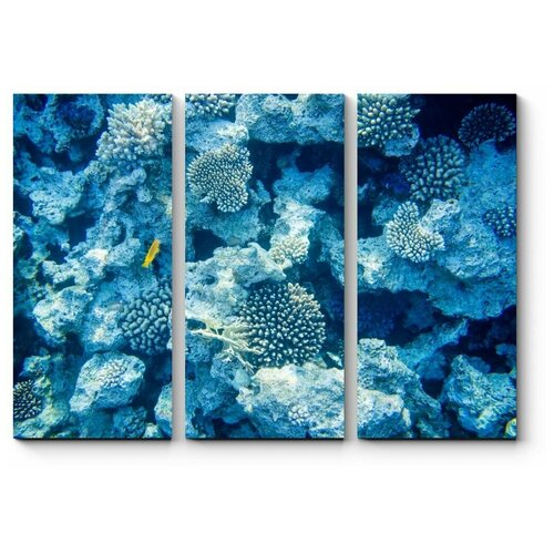 Модульная картина Коралловые рифы 180x129