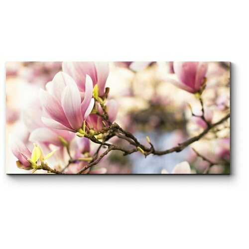 Модульная картина Весны прекрасное цветение 60x30