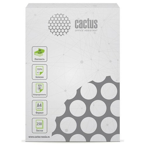 Cactus A4 CS-OPB-A480250 80 г/м², 250 л, белый