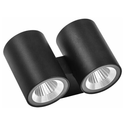 Lightstar Уличный настенный светильник Paro 352672 светодиодный, 24 Вт, лампы: 4 шт., цвет арматуры: черный, цвет плафона бесцветный