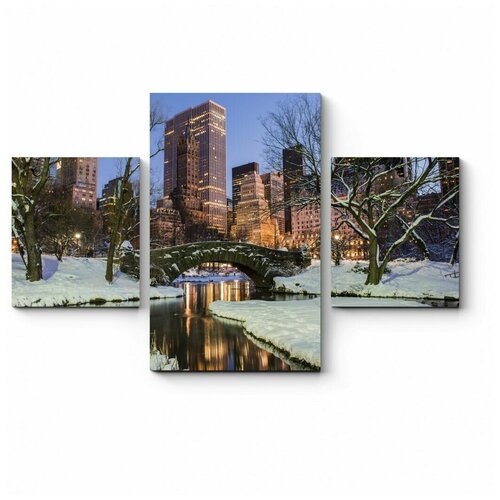 Модульная картина Зимний вид Центрального Парка100x65