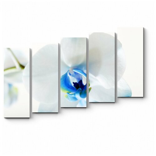 Модульная картина Белая орхидея 180x126
