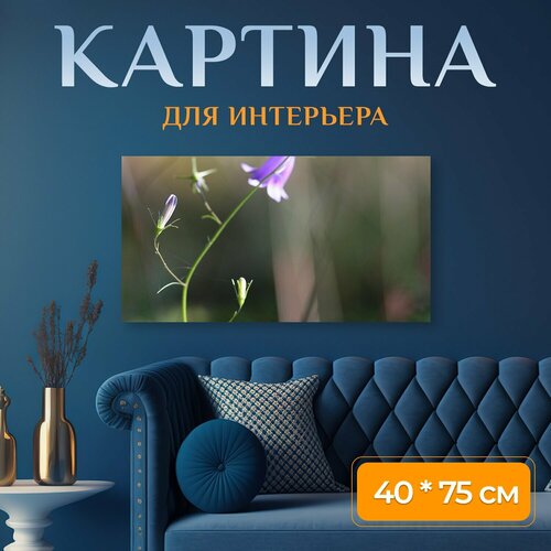 Картина на холсте "Колокольчик, полевой цветок, летом" на подрамнике 75х40 см. для интерьера