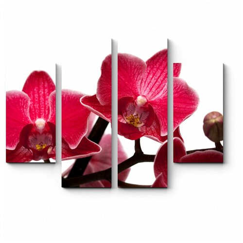 Модульная картина Магия орхидей 90x68