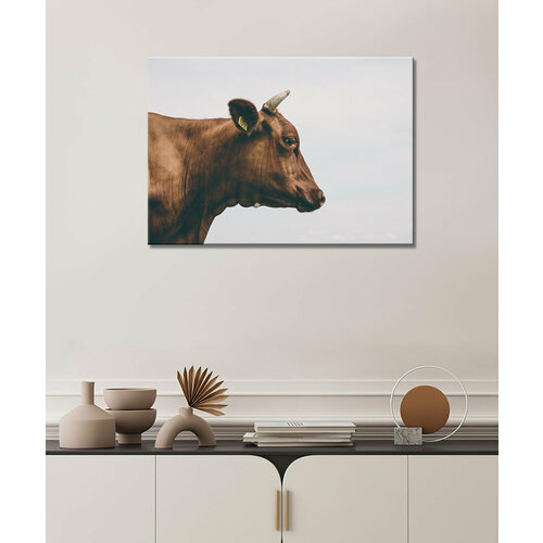 Картина -Корова, коричневая корова, корова на пастбище, бык (5) 20х30
