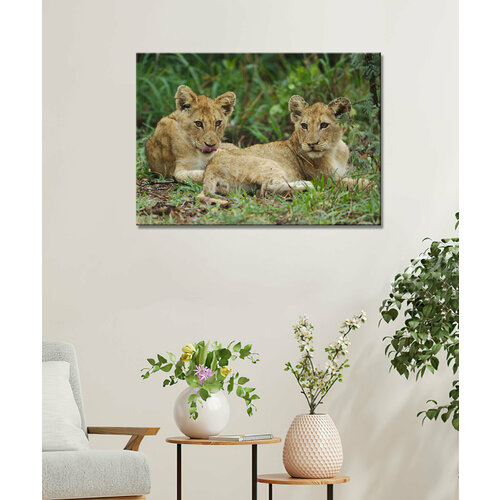 Картина - Лев, львята, львенок, красивые львята лежат, милые львята (61) 50х70