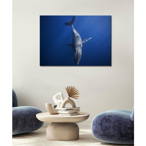 Картина - кит, синий кит, кит в океане, огромный кит, кит в воде (14) 30х40