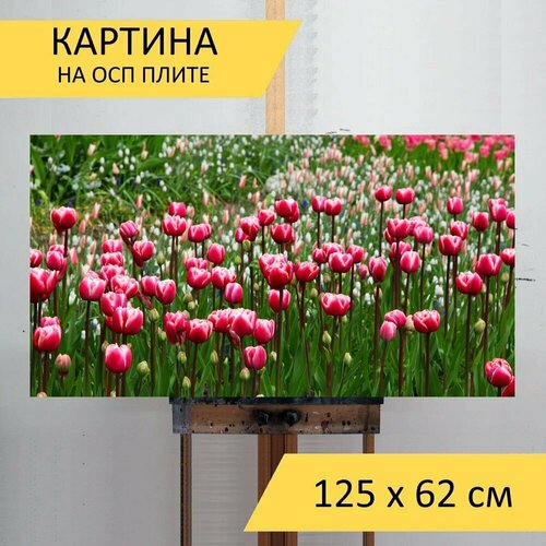 Картина на ОСП 125х62 см. "Цветы, тюльпаны, поле" горизонтальная, для интерьера, с креплениями