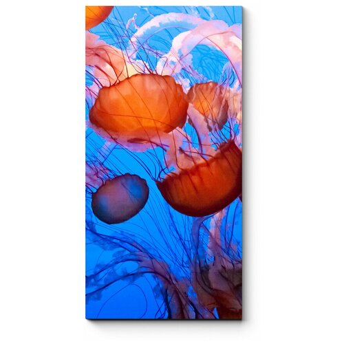 Модульная картина Чарующие океанские медузы 60x120