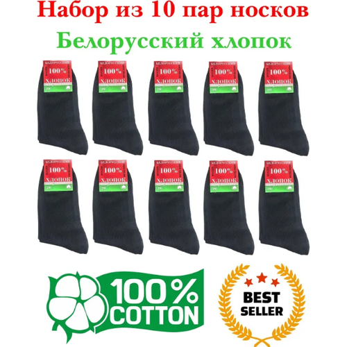 Носки , 10 пар, размер 29(43-44), черный