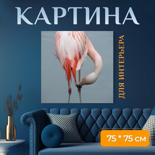 Картина на холсте "Фламинго, птица, перья" на подрамнике 75х75 см. для интерьера