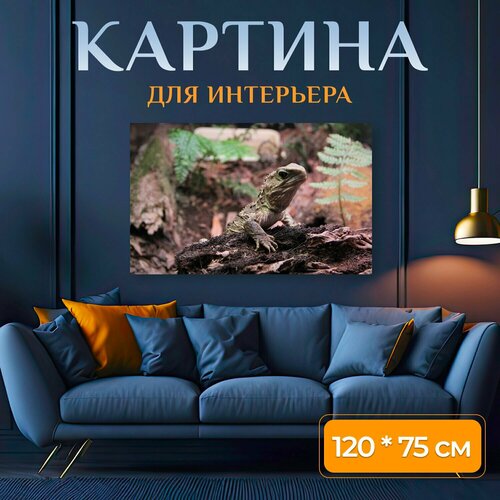 Картина на холсте "Туатара, рептилия, весы" на подрамнике 120х75 см. для интерьера