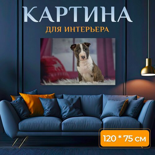 Картина на холсте "Щенок, собака, животное" на подрамнике 120х75 см. для интерьера