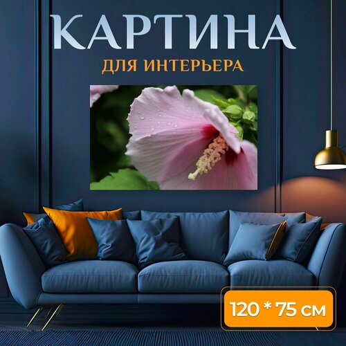 Картина на холсте "Цветок, летом, летний цветок" на подрамнике 120х75 см. для интерьера
