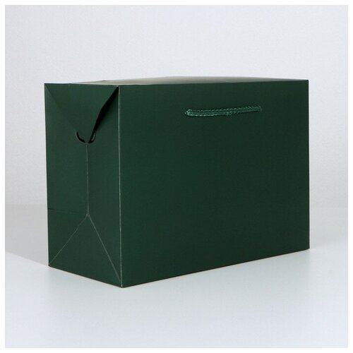 Пакет — коробка Изумрудный, 28 x 20 x 13 см