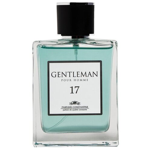 Parfums Constantine туалетная вода Gentleman №17, 100 мл, 376 г