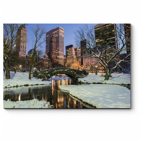 Модульная картина Зимний вид Центрального Парка80x53