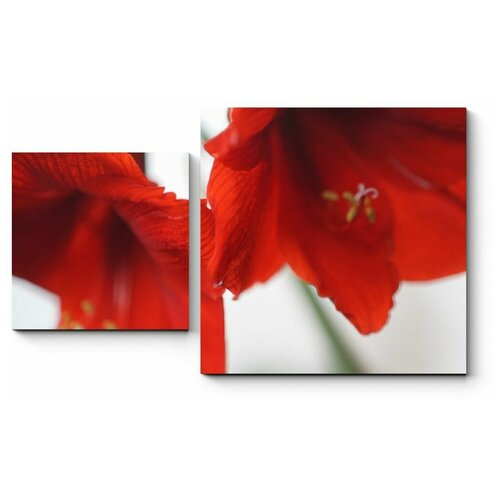 Модульная картина Красные цветы50x30