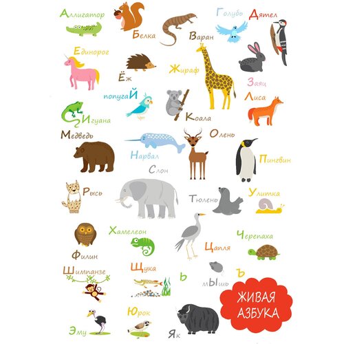 Плакат "Русский алфавит для детей. Тематика: Животные" / Формат А4 (21х30 см) / Постер для интерьера с черной рамкой