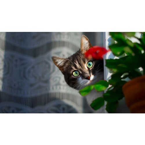 Картина на холсте 60x110 LinxOne "Цветок морда шторка кот" интерьерная для дома / на стену / на кухню / с подрамником