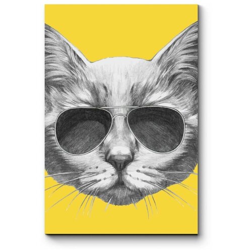 Модульная картина Просто серый кот в очках 50x75