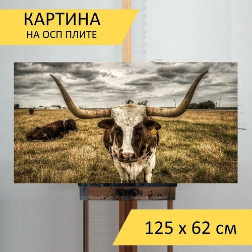 Картина на ОСП 125х62 см. "Лонгхорн, рулить, крупный рогатый скот" горизонтальная, для интерьера, с креплениями