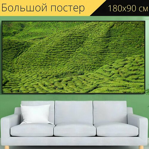 Большой постер "Чай, поле, чайный сад" 180 x 90 см. для интерьера