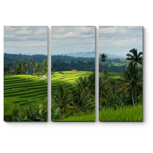 Модульная картина Бали, рисовые поля 70x50