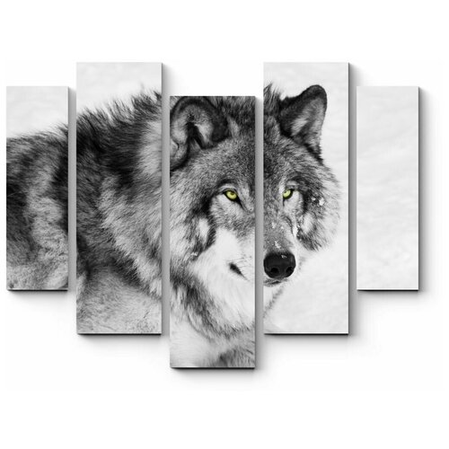 Модульная картина Черно-белый портрет волка 181x147