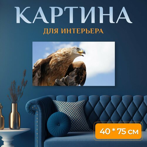 Картина на холсте "Золотой орел, животное, птица" на подрамнике 75х40 см. для интерьера