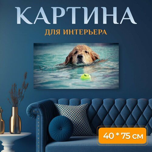Картина на холсте "Собака, плавать, вода" на подрамнике 75х40 см. для интерьера
