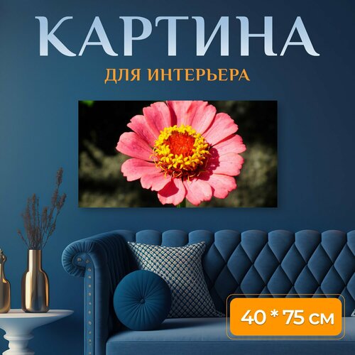 Картина на холсте "Цинния, цветок, завод" на подрамнике 75х40 см. для интерьера