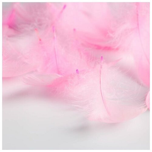 Дарите Счастье Наполнитель из перьев для шаров и подарков «Нежность» , 15 х 11 см