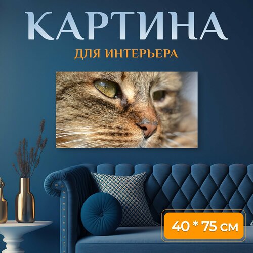 Картина на холсте "Кот, скумбрия, серый" на подрамнике 75х40 см. для интерьера
