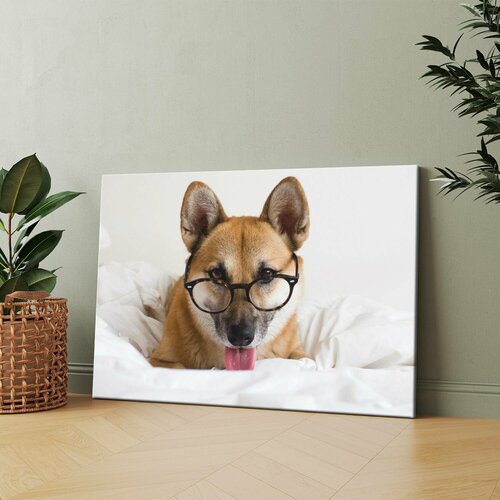 Картина на холсте (Собака в очках лежит на кровати) 30x40 см. Интерьерная, на стену.