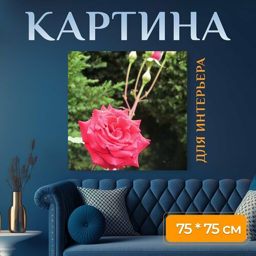 Картина на холсте "Роза, цветок, красный" на подрамнике 75х75 см. для интерьера