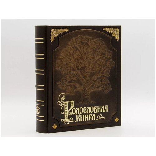 Родословная книга «Древо» с бронзовыми накладками rk546