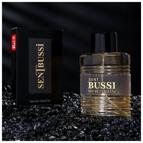 Neo Parfum Туалетная вода мужская Sent BUSSI, 100 мл