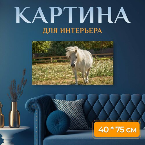 Картина на холсте "Лошади, пони, ферма" на подрамнике 75х40 см. для интерьера
