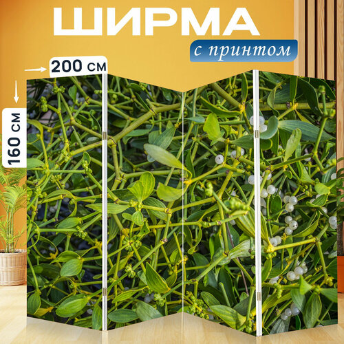 Ширма перегородка с принтом "Омела, растения, зеленый" на холсте - 200x160 см. для зонирования, раскладная