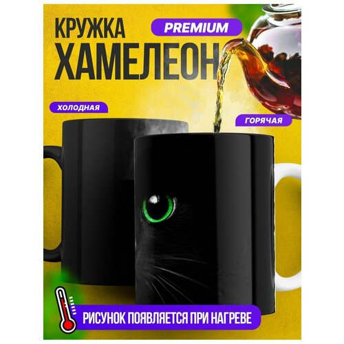 Кружка хамелеон для чая рисунок Кот, котики, кошечки