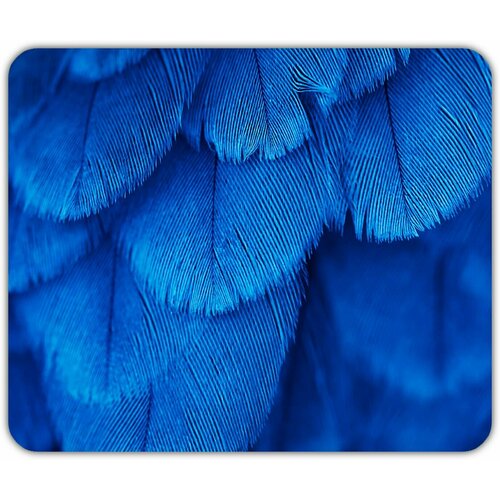 Коврик для мыши "Эстетика с голубыми перьями" (24 x 20 см x 3 мм)