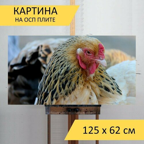 Картина на ОСП 125х62 см. "Курица, голова, домашняя курица" горизонтальная, для интерьера, с креплениями