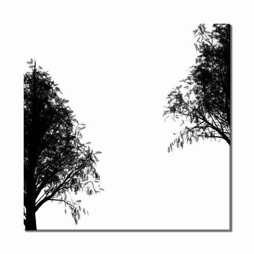 Картина для интерьера на холсте "Деревья черное-белое" хай-тек 60х60 холст натянут на подрамник
