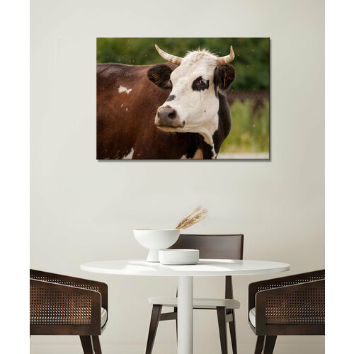 Картина -Корова, коричневая корова, корова на пастбище, бык (13) 50х70